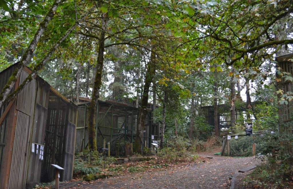 12 Top-Rated Tourist Attractions in Eugene, Oregon - Planet Travel Advisor 12 Top-Rated Tourist Attractions in Eugene, Oregon - Planet Travel Advisor
