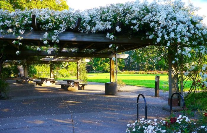 12 Top-Rated Tourist Attractions in Eugene, Oregon - Planet Travel Advisor